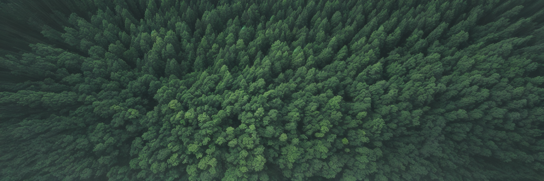 Synchronizing Disabled User Accounts Between Active Directory Domains Forest Using Powershell